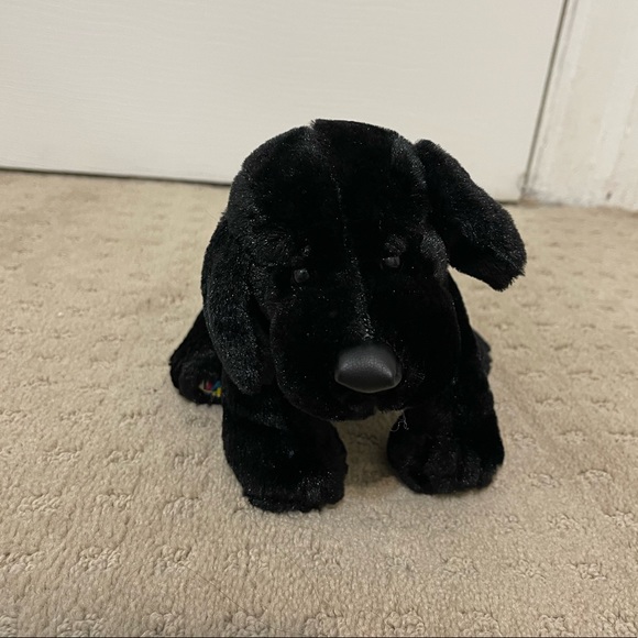 Toys | Webkinz Black Lab | Poshmark